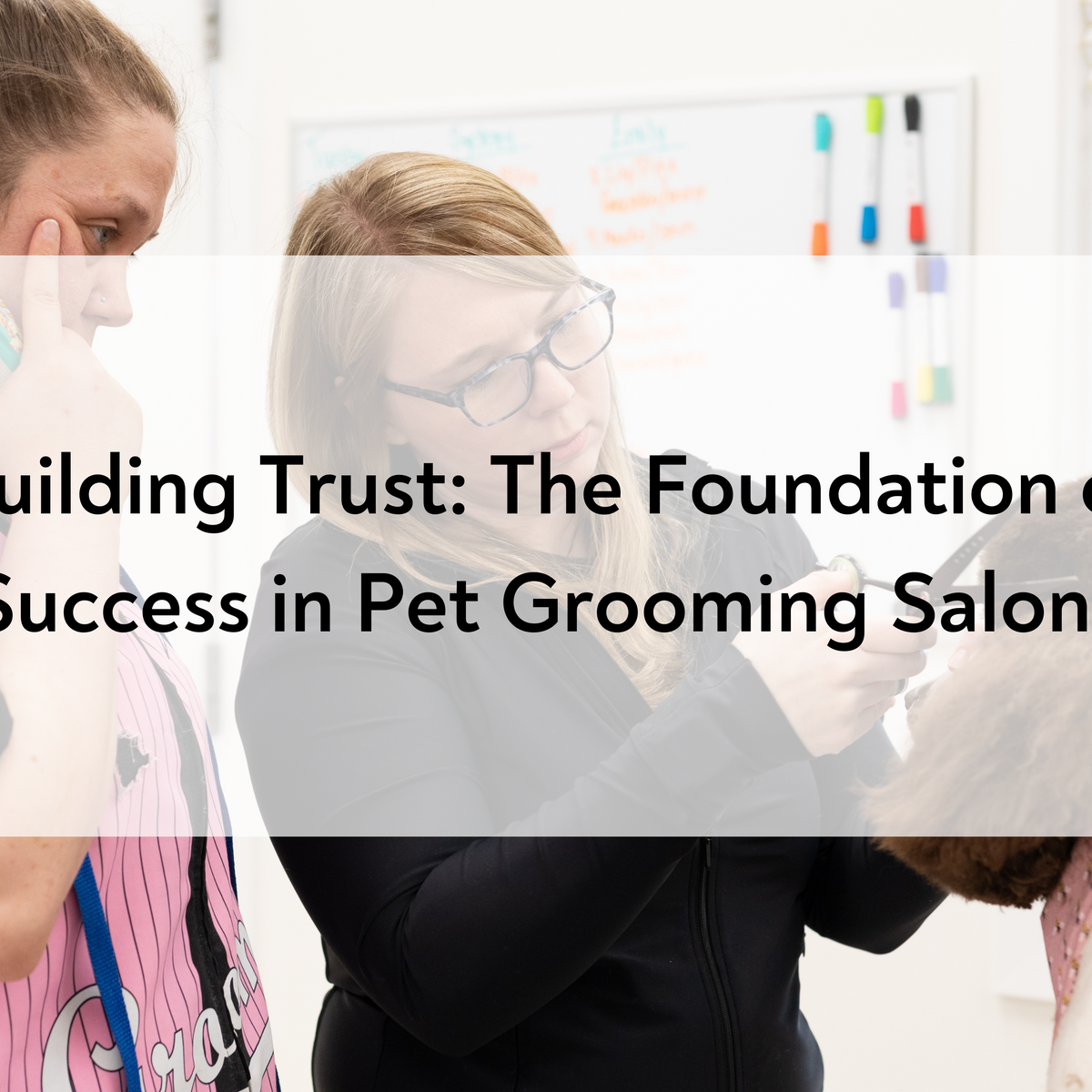 Building Trust: The Foundation of Success in Pet Grooming Salons ...