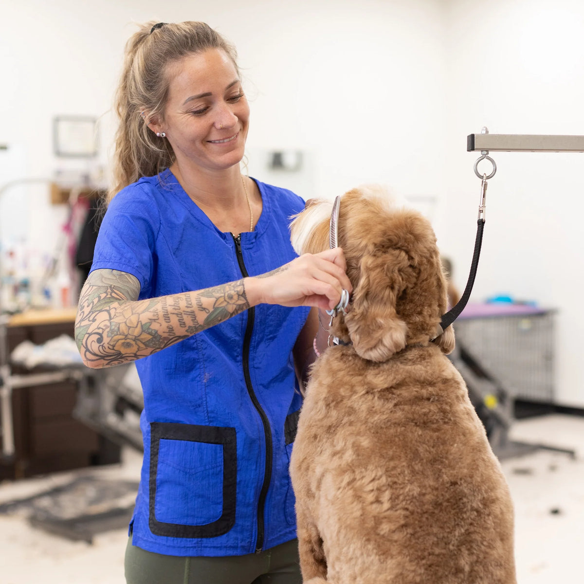 Jodi Murphy Collection – Retro Stylist Wear