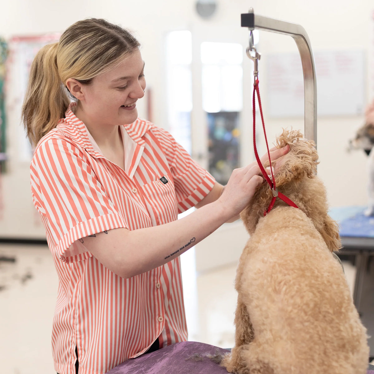 Toni Collection – Retro Stylist Wear