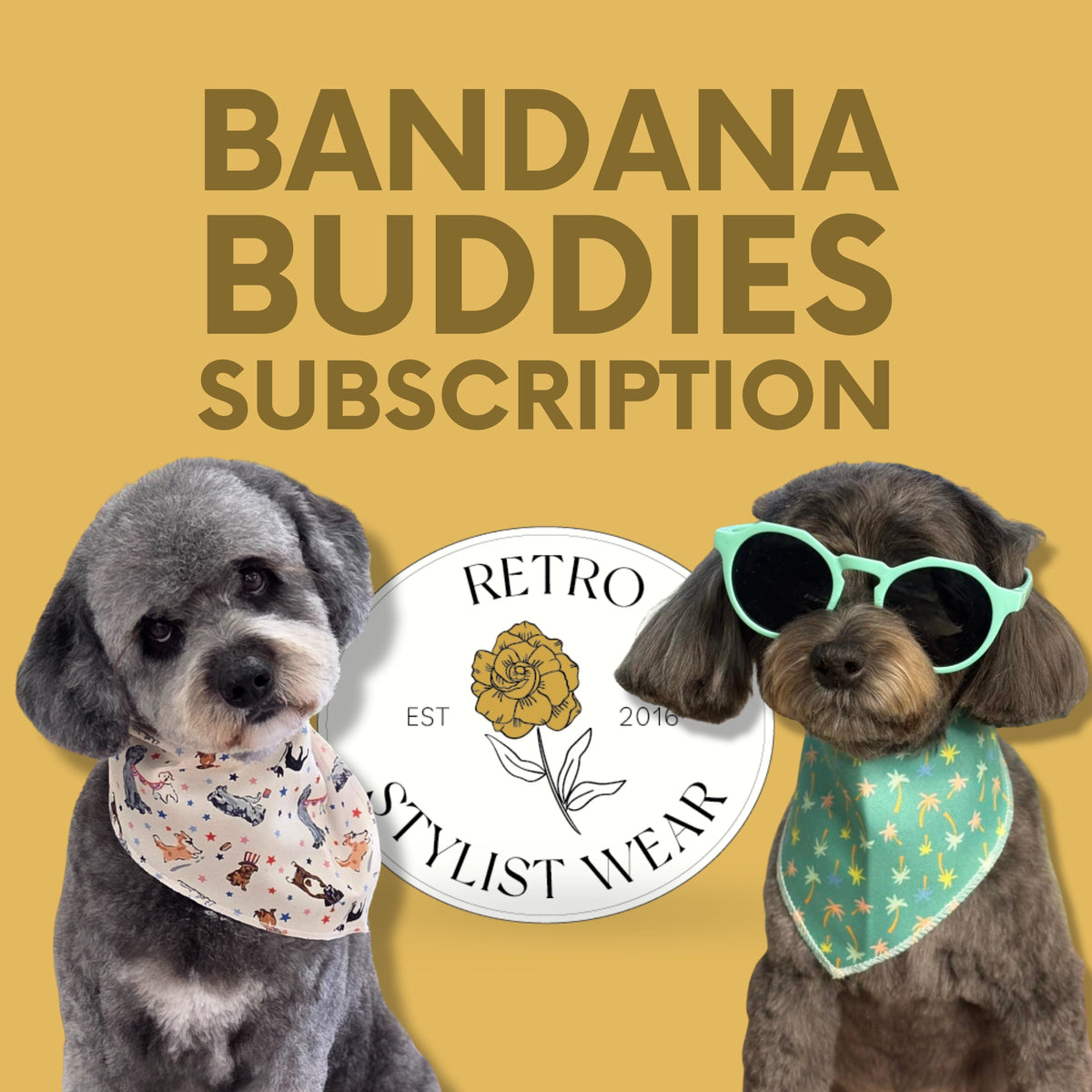 Bandana Buddies Subscription – Retro Stylist Wear