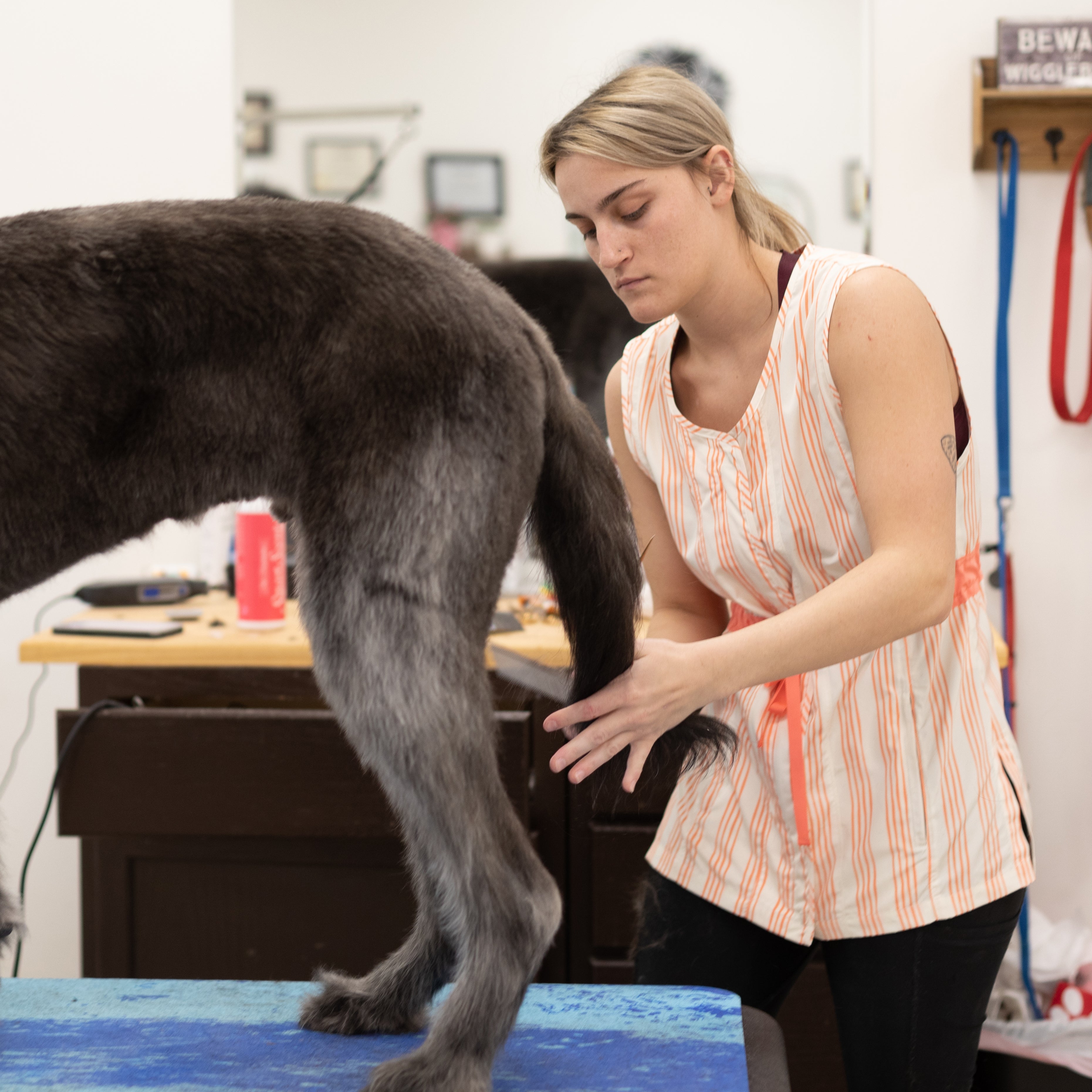 Pet Grooming Apparel - Smocks, Aprons, Pants & Accessories – Retro ...
