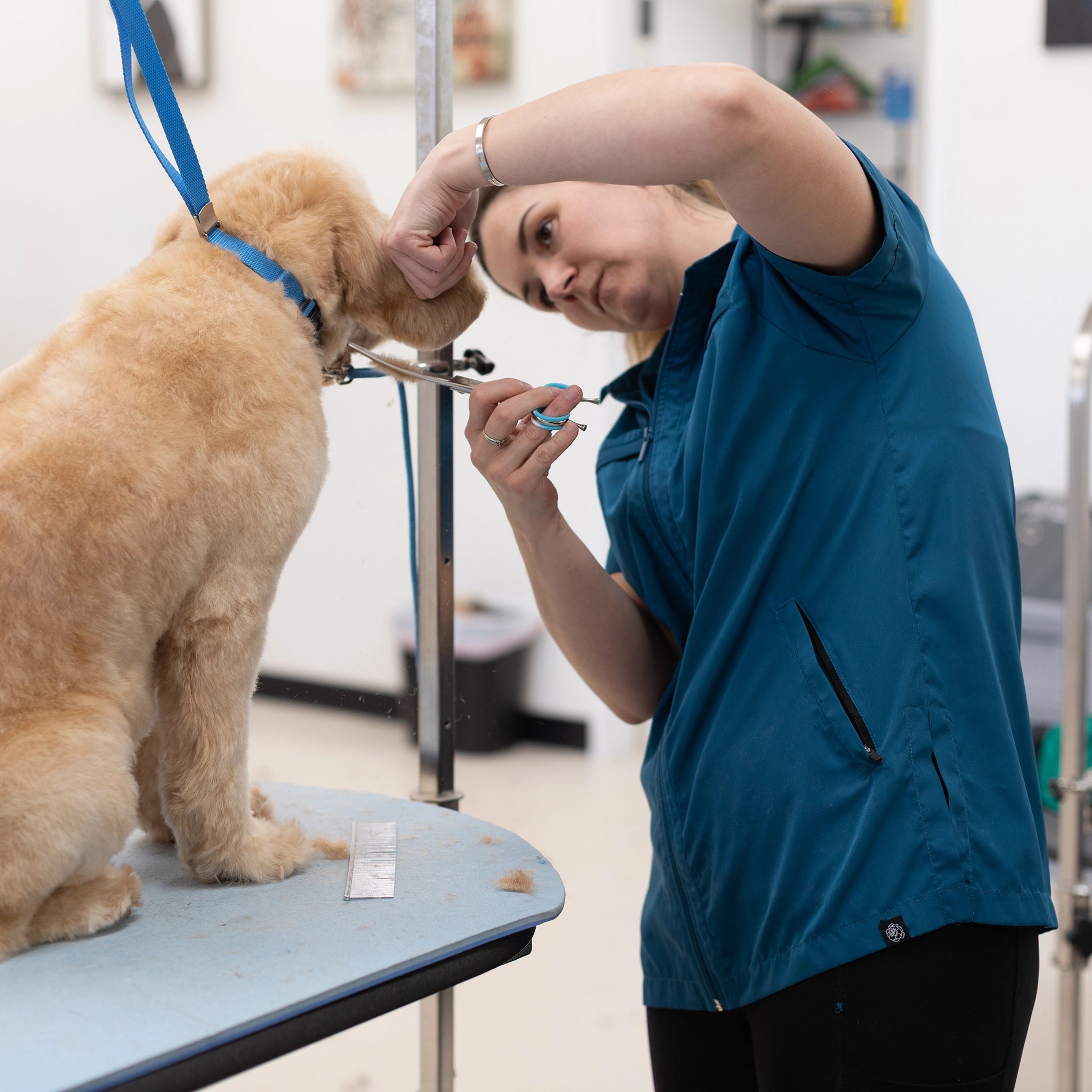 Quality, Stylish Pet Grooming Smocks – Retro Stylist Wear