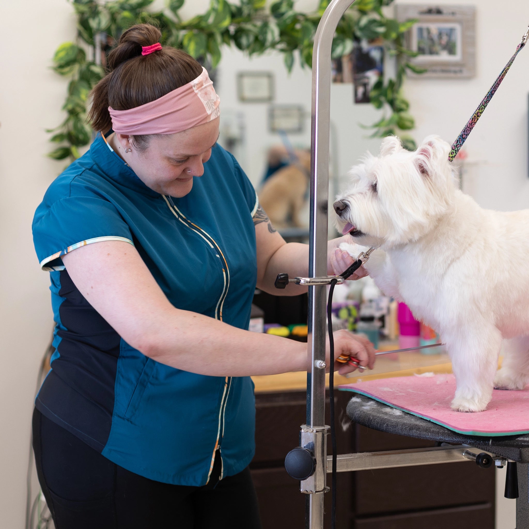 Pet Grooming Apparel - Smocks, Aprons, Pants & Accessories – Retro ...