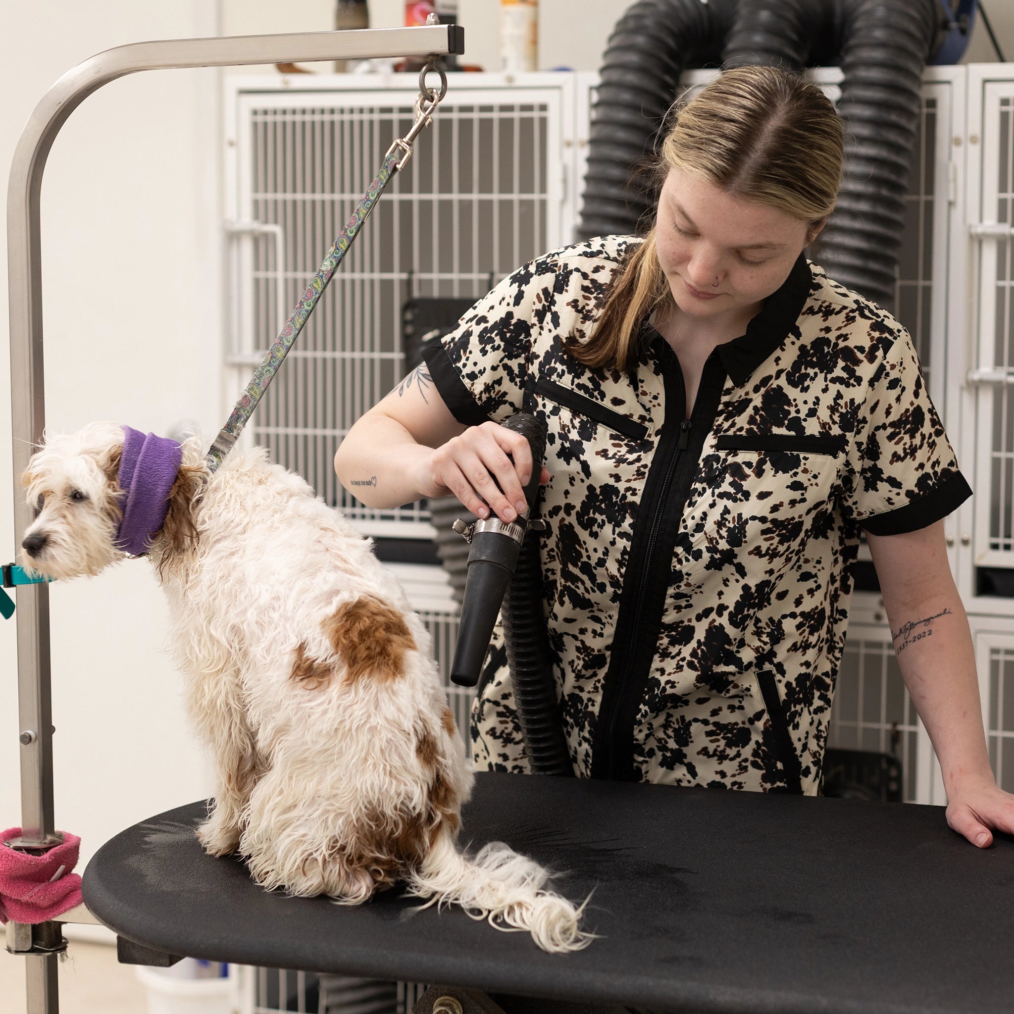 Pet Grooming Apparel - Smocks, Aprons, Pants & Accessories – Retro ...