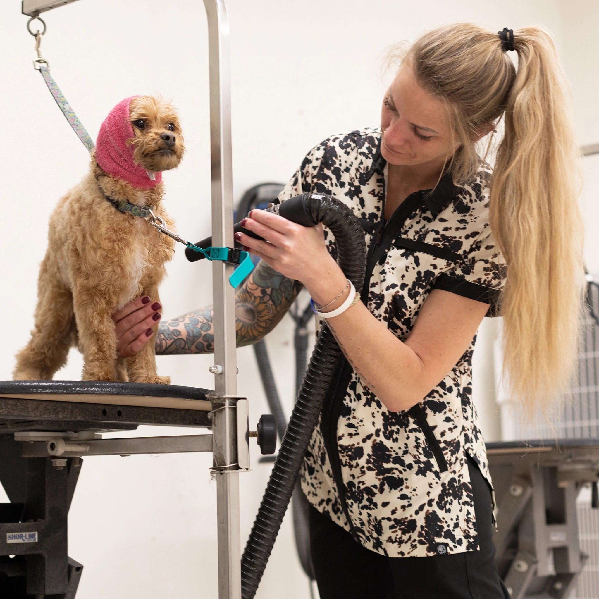Pet Grooming Apparel - Smocks, Aprons, Pants & Accessories – Retro ...