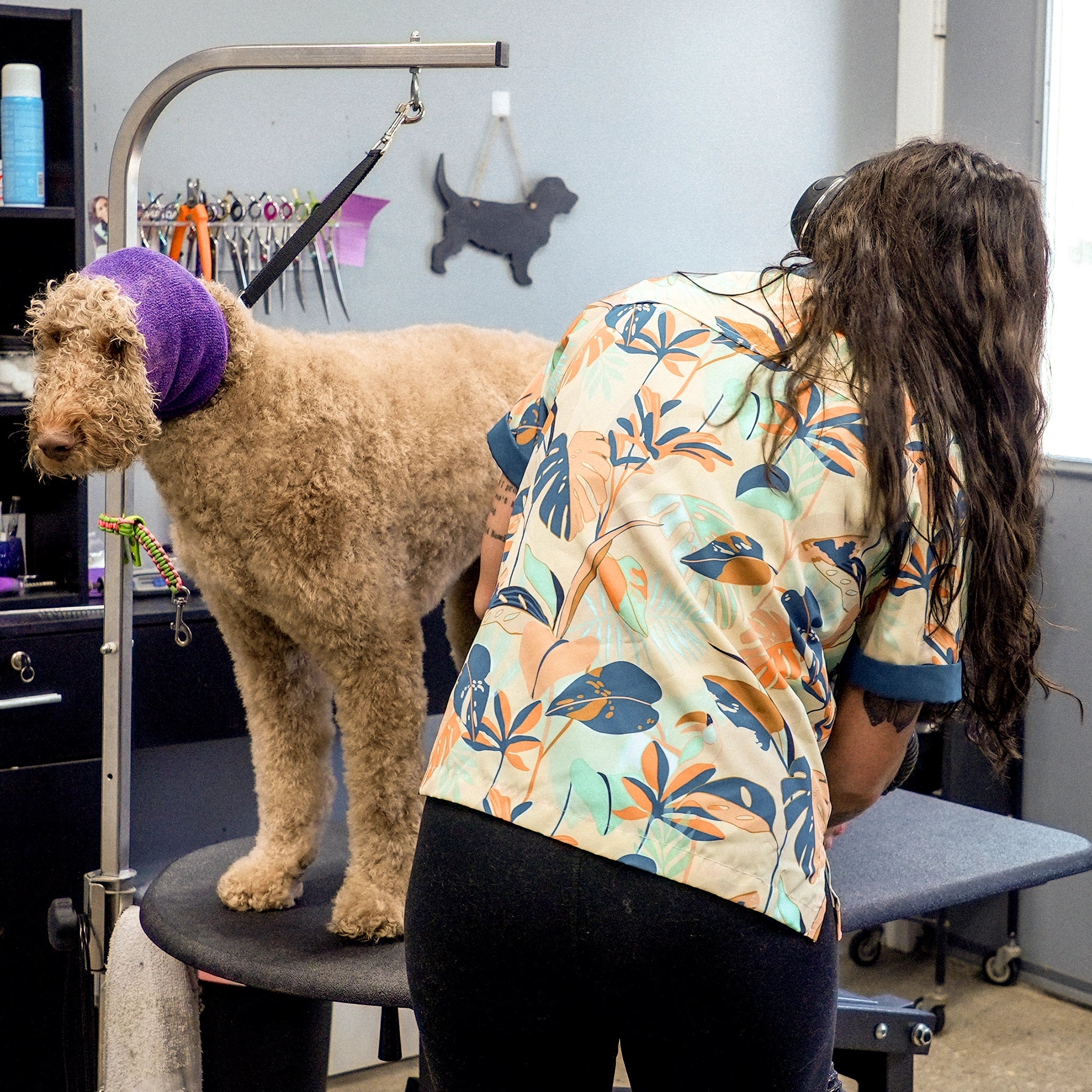 Pet Grooming Apparel - Smocks, Aprons, Pants & Accessories – Retro ...