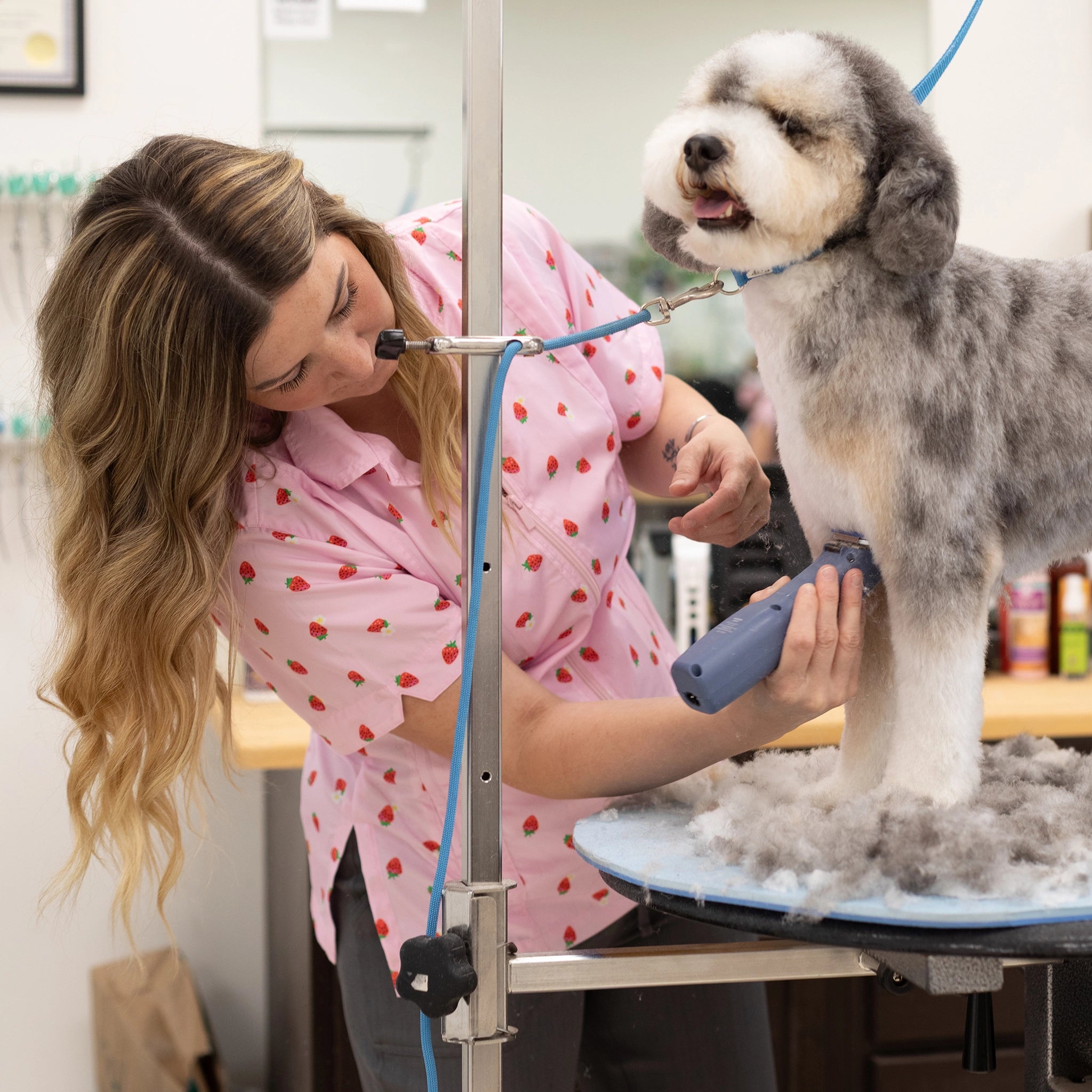 Pet Grooming Apparel - Smocks, Aprons, Pants & Accessories – Retro ...