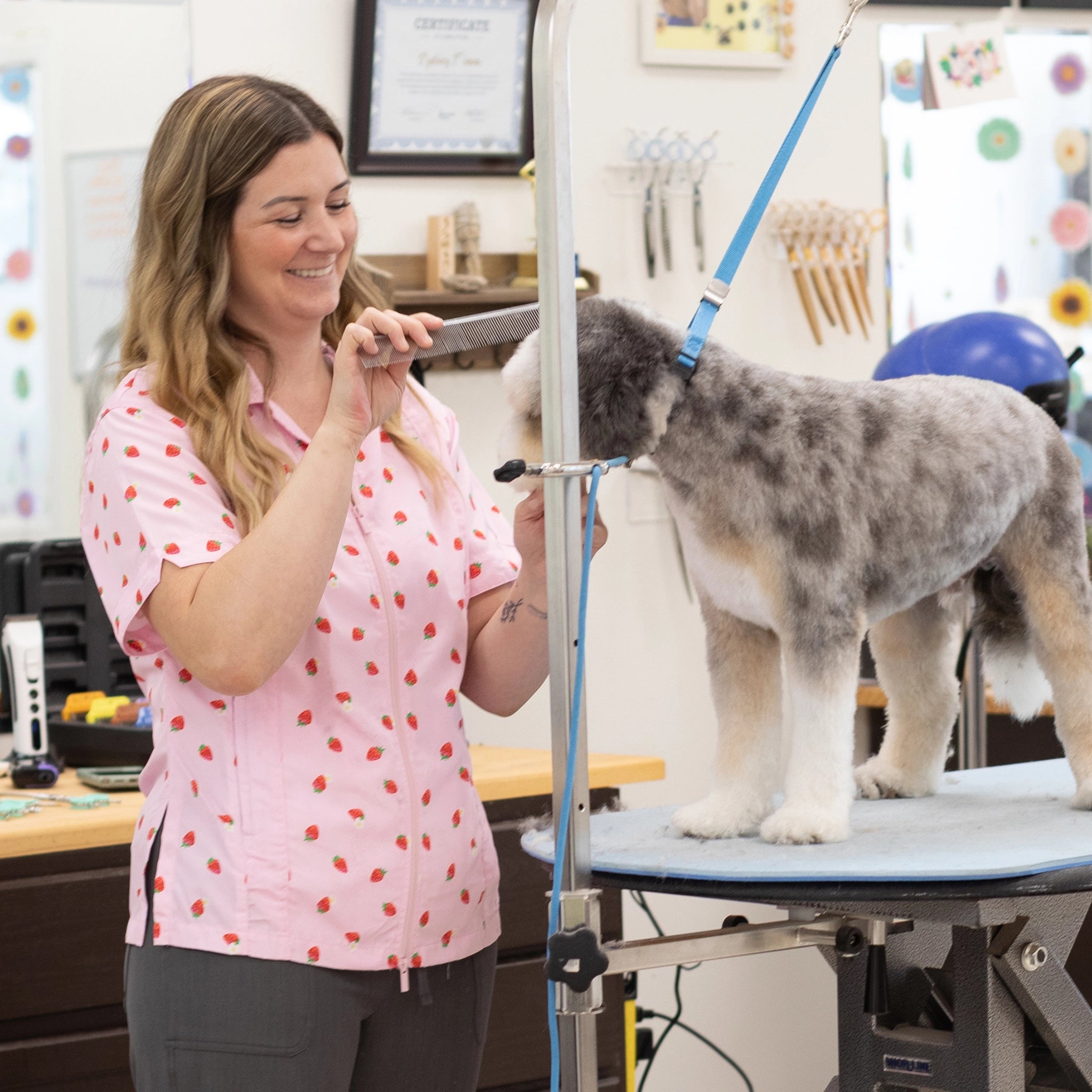 Pet Grooming Apparel - Smocks, Aprons, Pants & Accessories – Retro ...