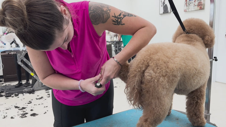 Apparel for Pet Groomers, Hair Stylists & Barbers – Retro Stylist Wear